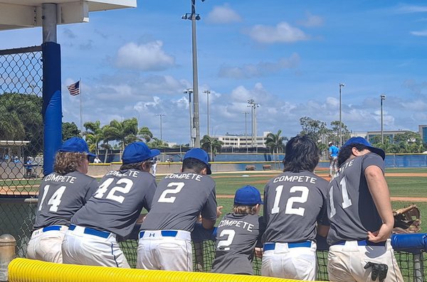 Batavia Blue Devils Varsity Baseball