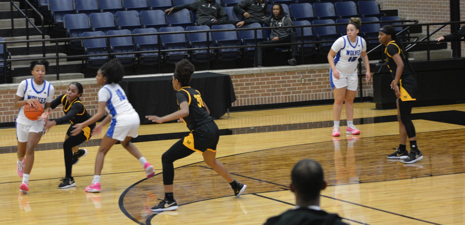 Plano West Lady Wolves Home Page