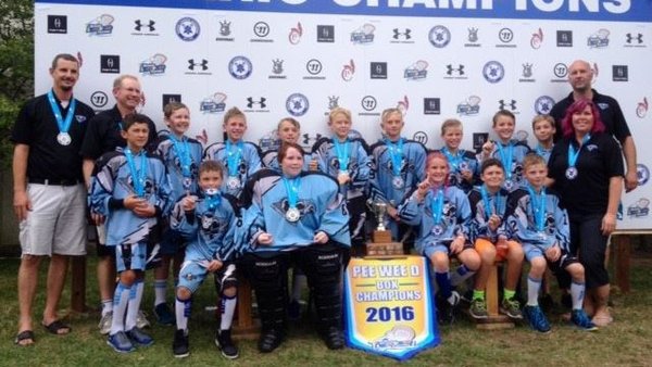 Stayner Hitmen Lacrosse Home Page